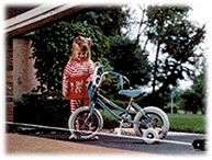 Garage Door Openers with Security+™ Technology | The Door House